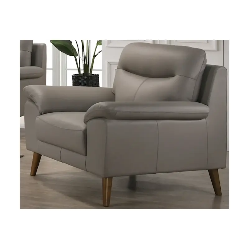 L962w-10-sgr New Classic Furniture Dazio Living Room Chair